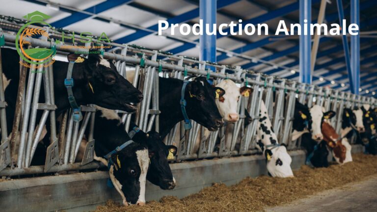 Sciences des Productions Animales - HSAM