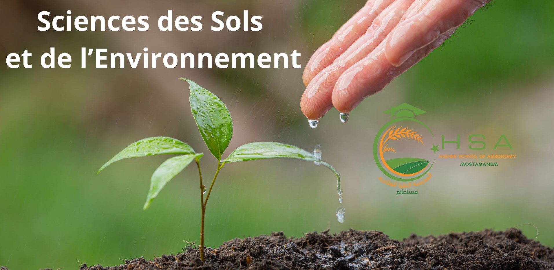 Sciences des Sols et de l'Environnement - HSAM